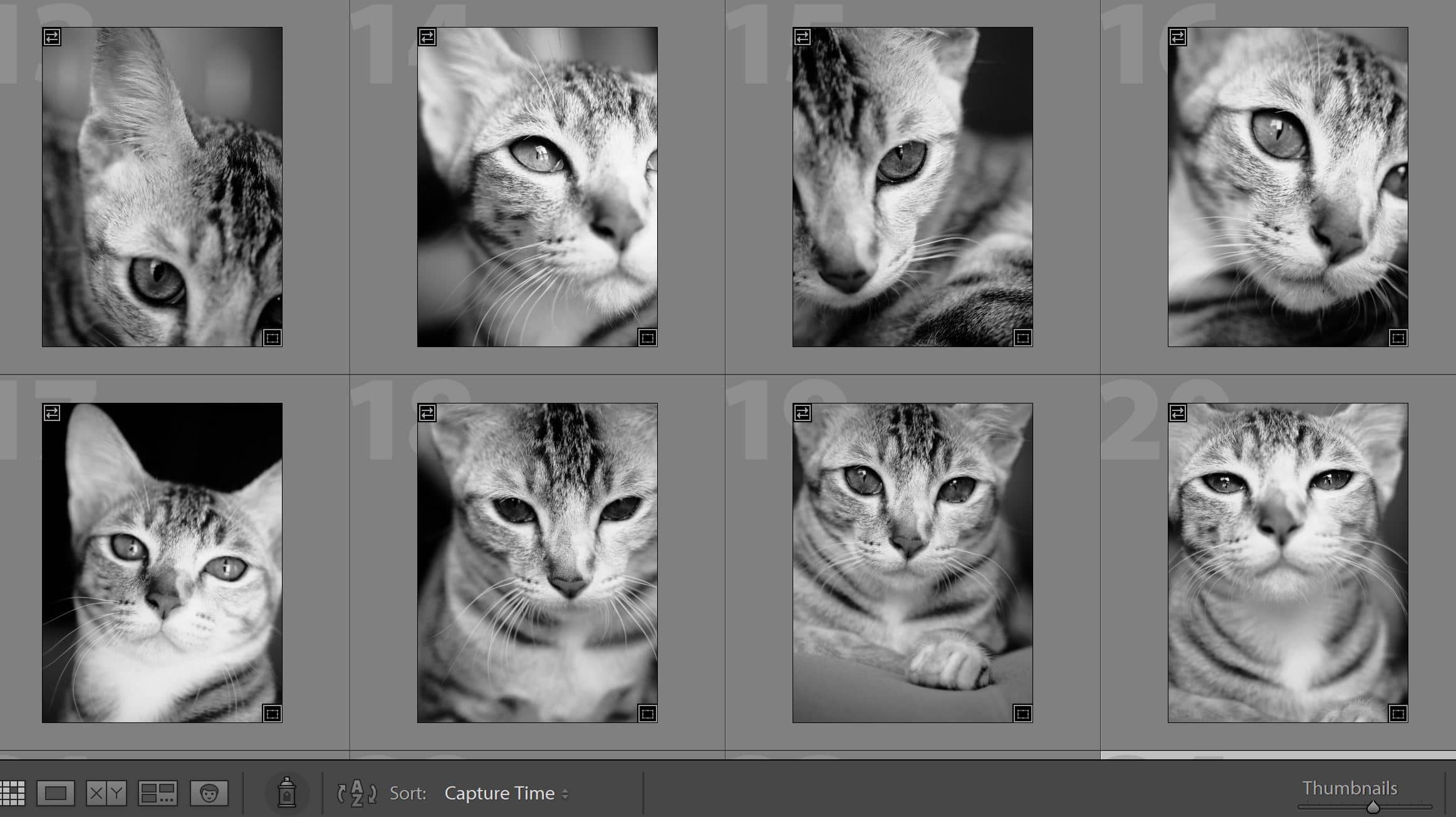 Revealed: My DIY No subscription Lightroom setup [With sync] [2021 ...